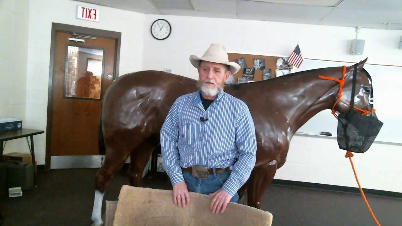 Padding Your Pack Animal - YouTube