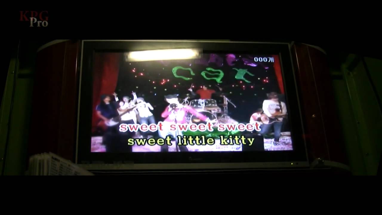 노래방 HD: Cherry Filter - 낭만 고양이 (Romantic Cat) - YouTube