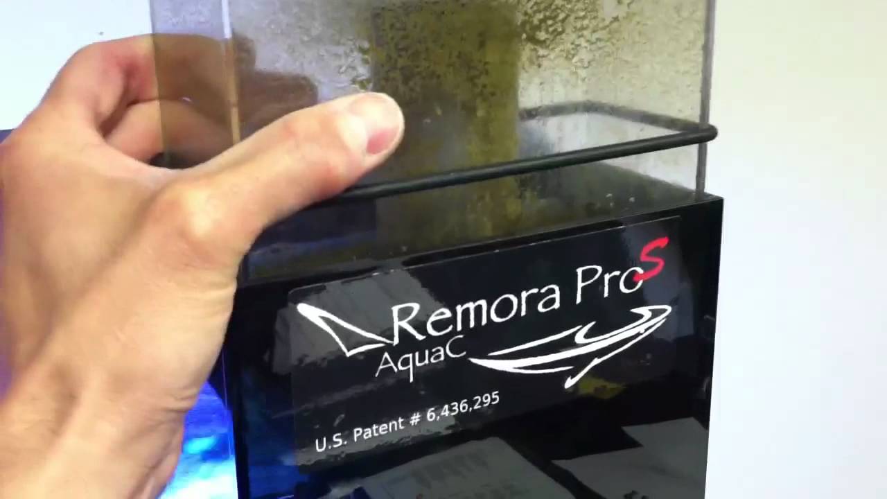First Look @ Remora Pro-S - YouTube