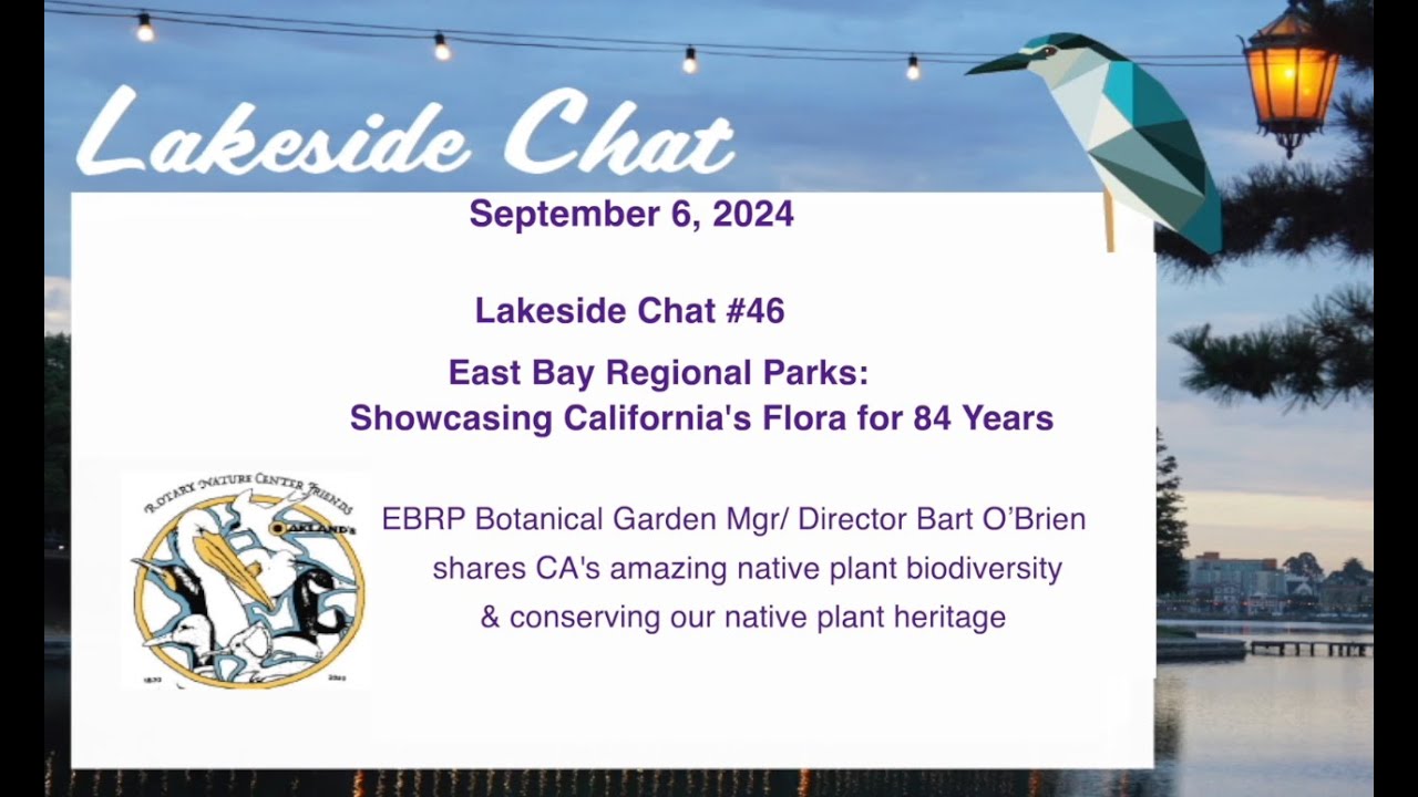 Lakeside Chat #46 East Bay Regional Parks: Showcasing California's ...