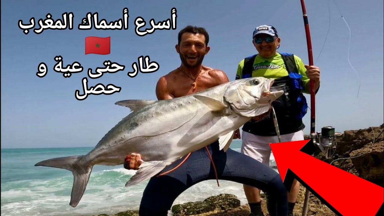 #شاهد 👈أسرع أسماك 🇲🇦المغرب 🇲🇦 ‏قوة السرعة لا توصف 𝐋𝐢𝐜𝐡𝐞 𝐟𝐢𝐬𝐡 😱 - YouTube