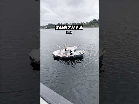 Tugboat races in Olympia - who will win? #tugboat #tugs #racing #steamboat