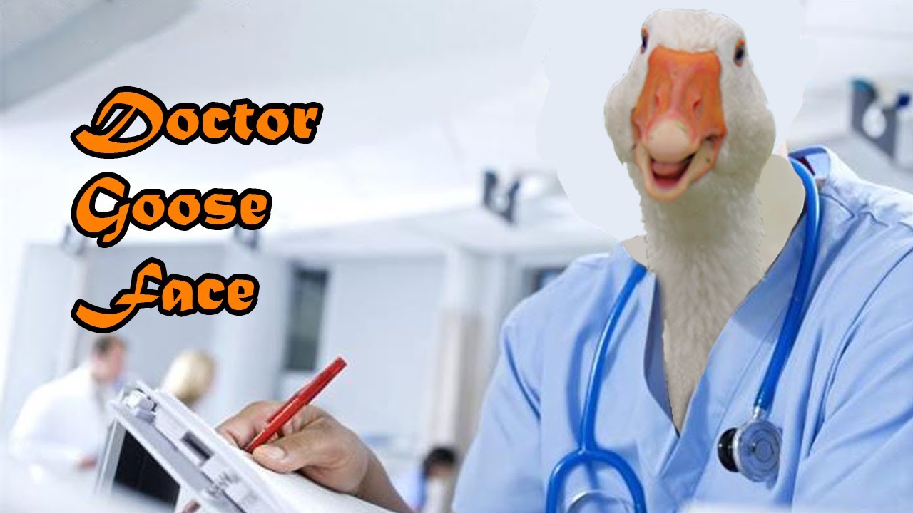 Rabbitt Plays Minecraft Ep.15 (Doctor Goose Face) - YouTube