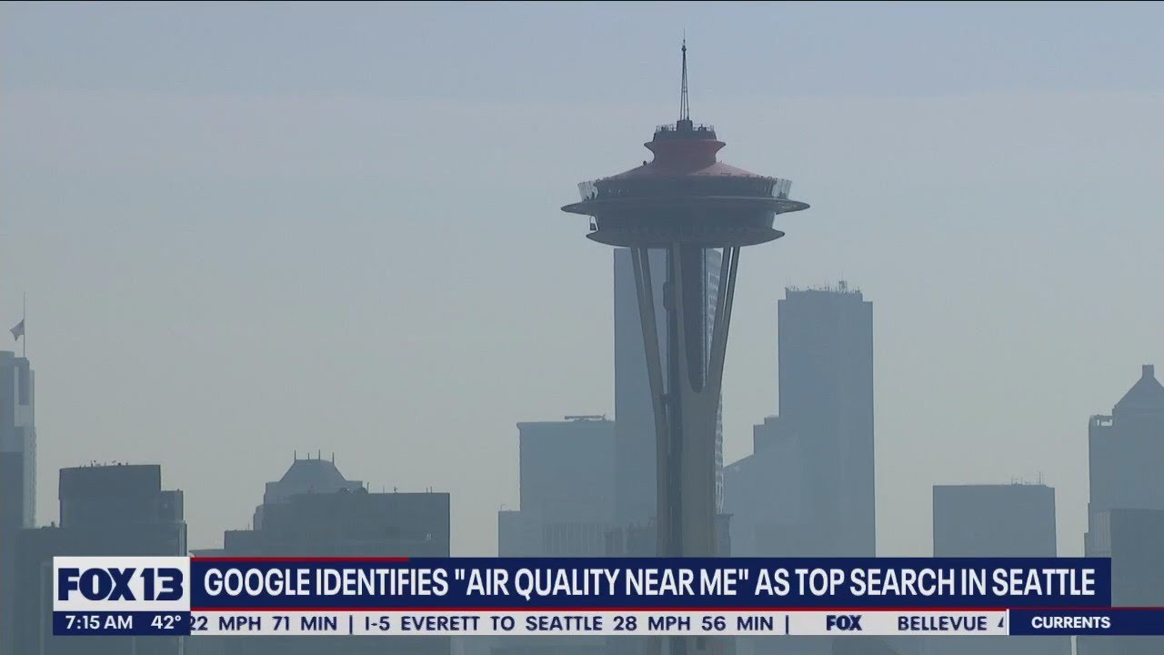 Google identifies the top searches in Seattle | FOX 13 Seattle - YouTube