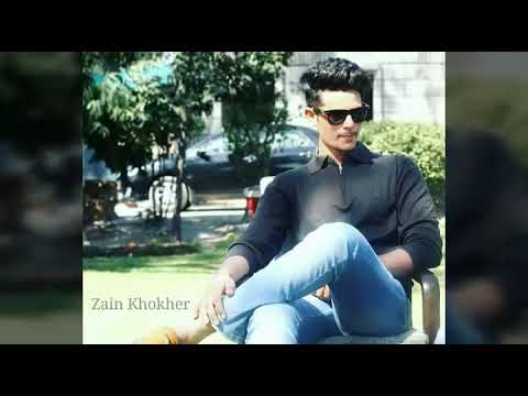 Zayn Model