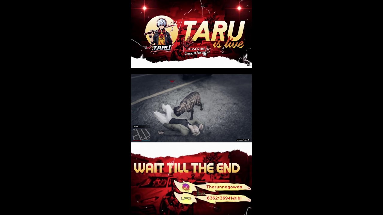 Live streaming of 亗LEGEND亗TARU - YouTube