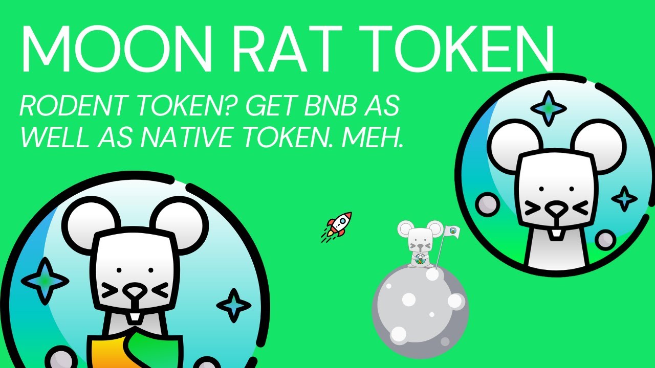 Moonrat Token - Meme Coin. Get BNB Rewards & Native Token. Small ...