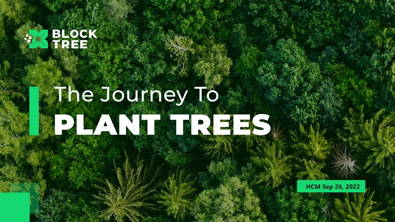 The journey to plant trees of BlockTree - Results in Fund 8 Catalyst ...