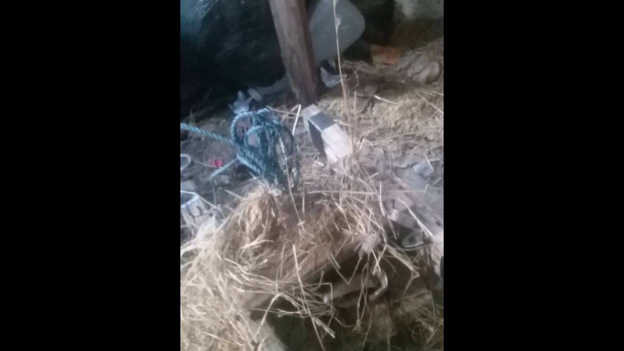 The fur shed - YouTube