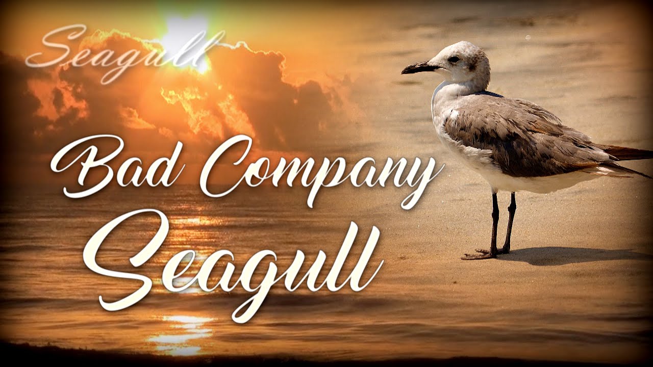 Bad Company - Seagull - Lyrics - With Video from Tybee Island, Ga - YouTube