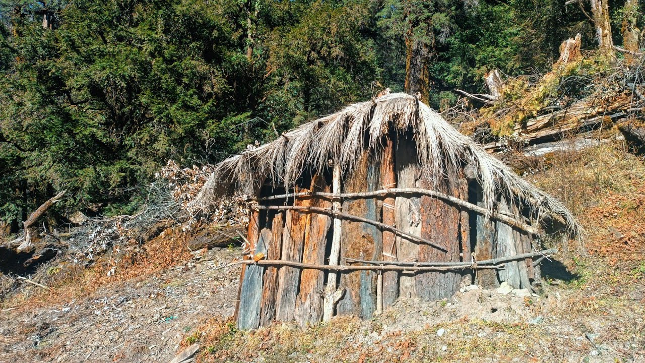 Himalayan in forest cooking and eating bread and organic vegetables ...