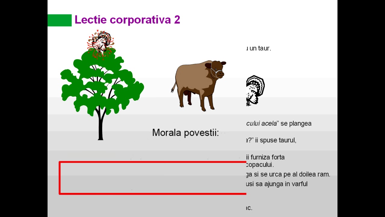 3 lecti corporative - YouTube