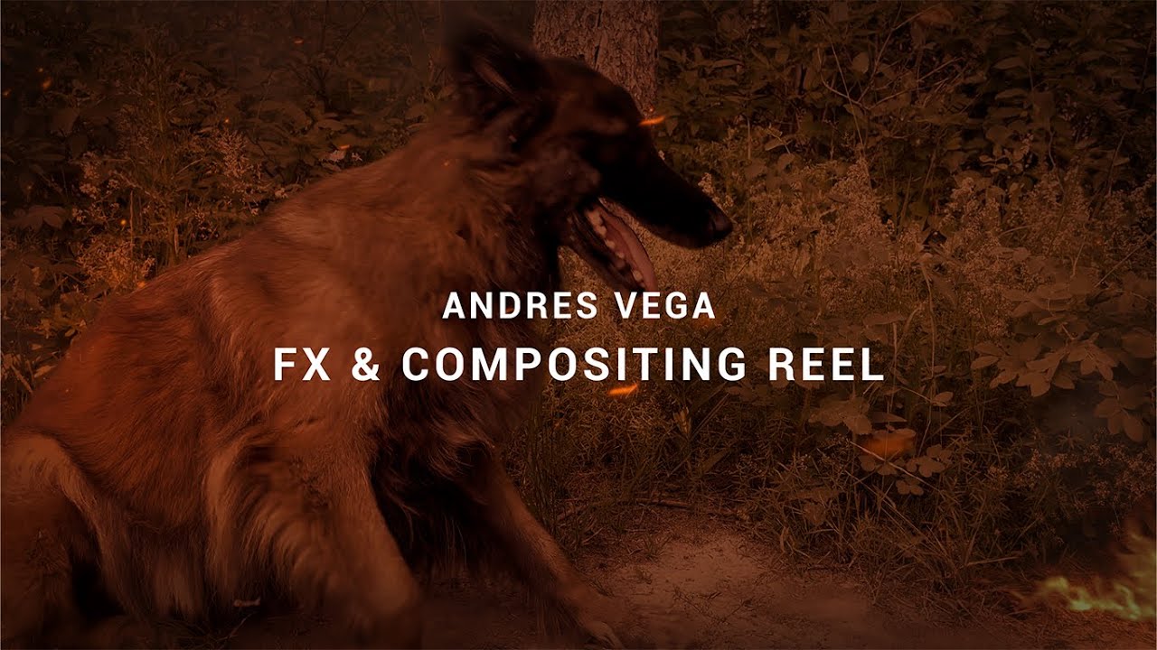 FX & Compositing Demo Reel 2024 | Andres Vega - YouTube