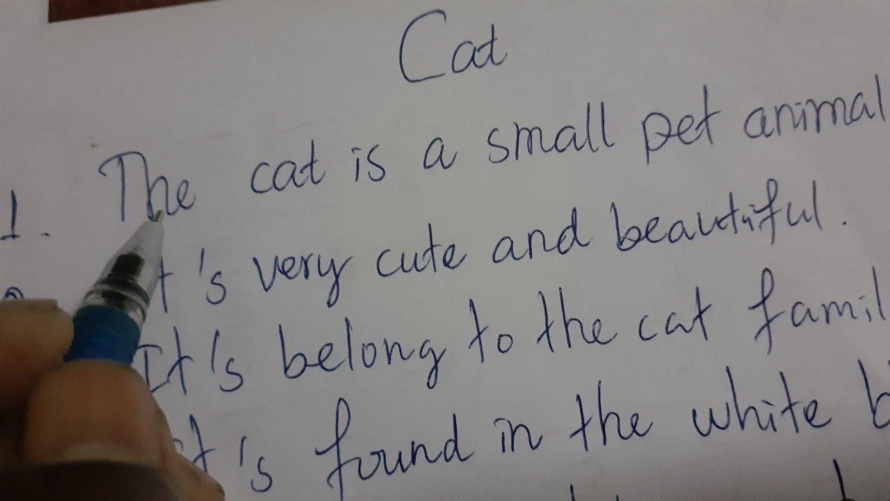 7 Lines on My Cat | Paragraph My Cat - YouTube