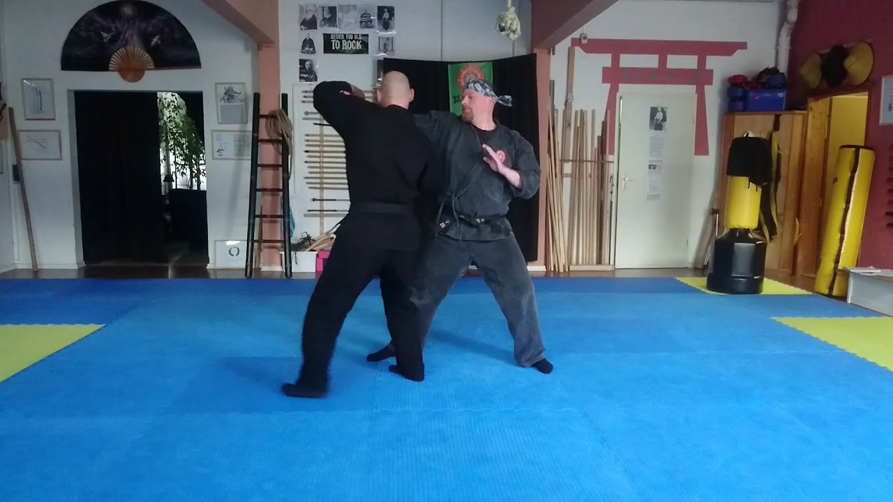 Goshinkan Ninjutsu -Further Education With Thorsten Ritz - YouTube