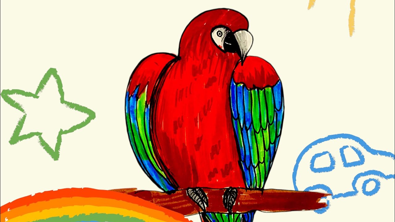 How to draw Parrot For beginners and kids - YouTube