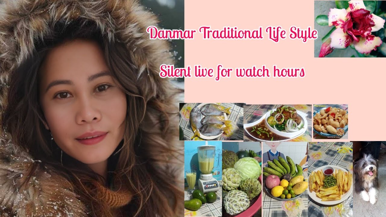 Danmar Traditional Life style is live!silent live for watch hours - YouTube