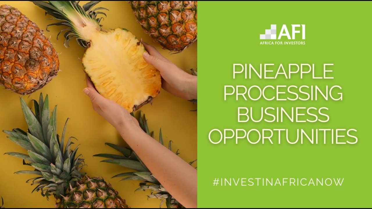 Pineapple Processing Business Opportunities - YouTube