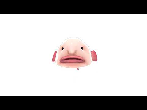[MMD] blob fish - Shadow World +DL's - YouTube