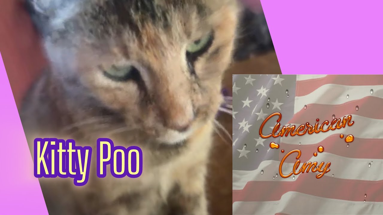 LIVE hello with Kitty Poo 🐈 - YouTube