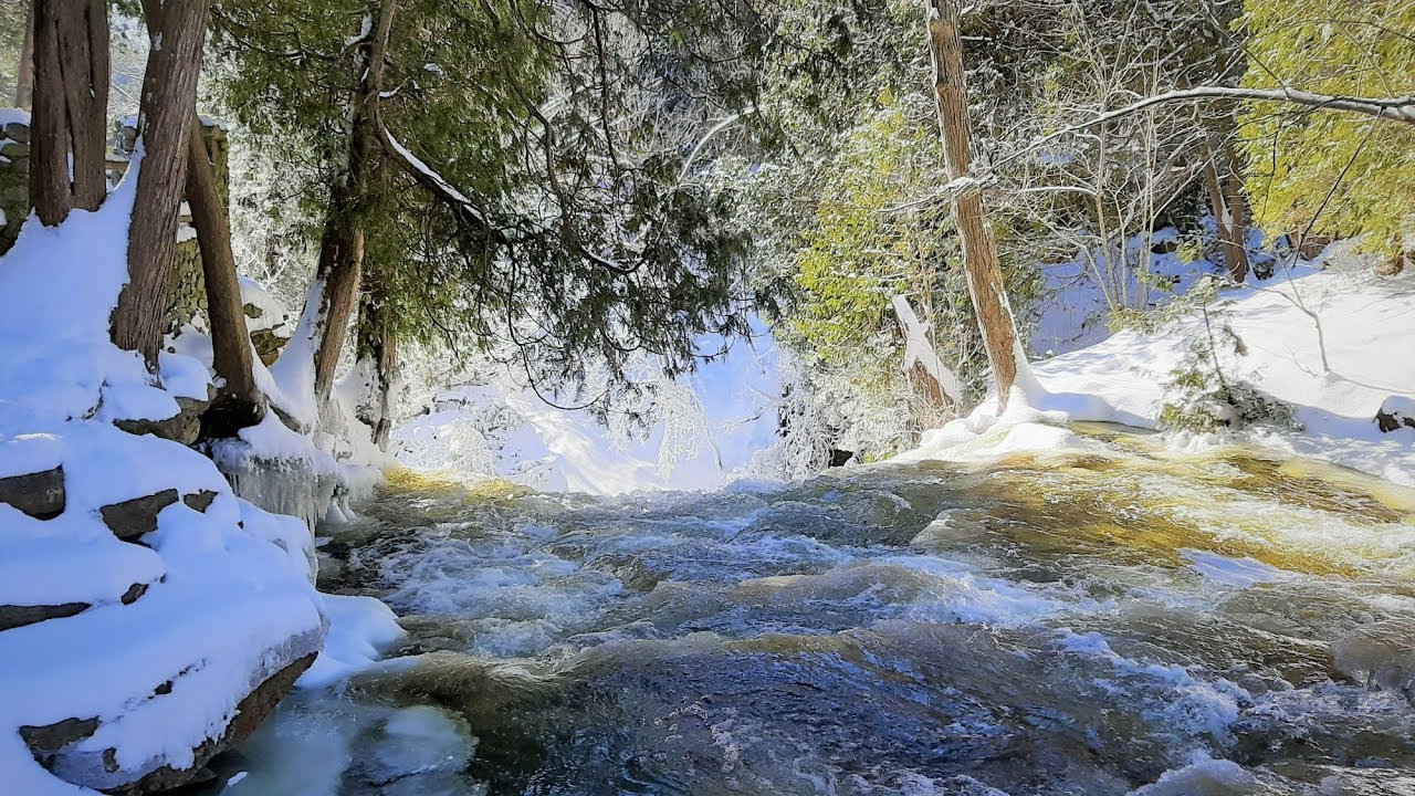 2020.01.20 Hilton Falls - Conservation Halton 3 - YouTube