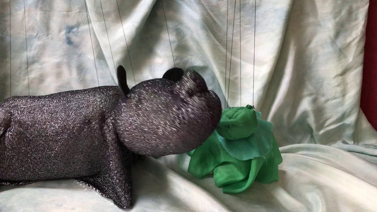 Rhino and frog go online - YouTube