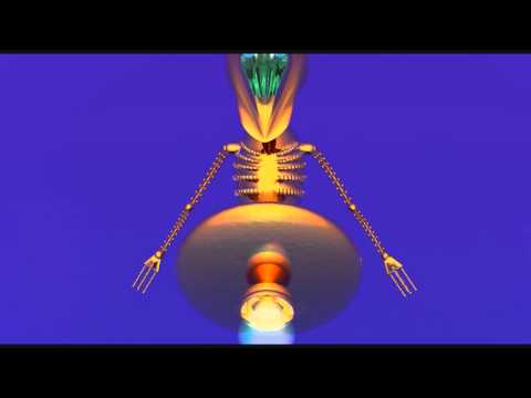 Bryce animation-Space Creature