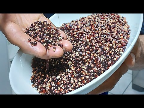 PIPOCA ROXA😱 *será que realmente é?* - YouTube