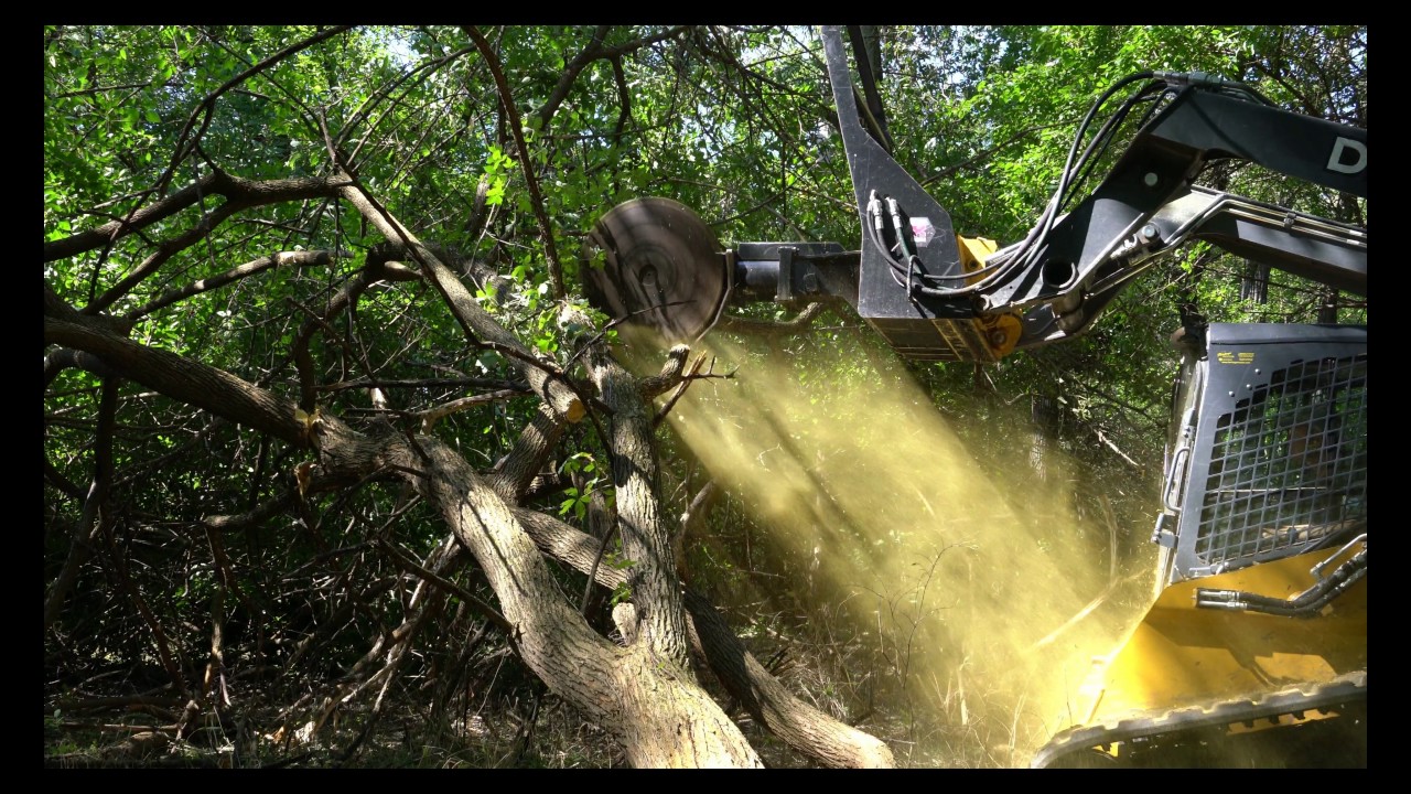 Vail Products® Skid Steer RotatingTree Saw Cuts Hedge Trees - YouTube