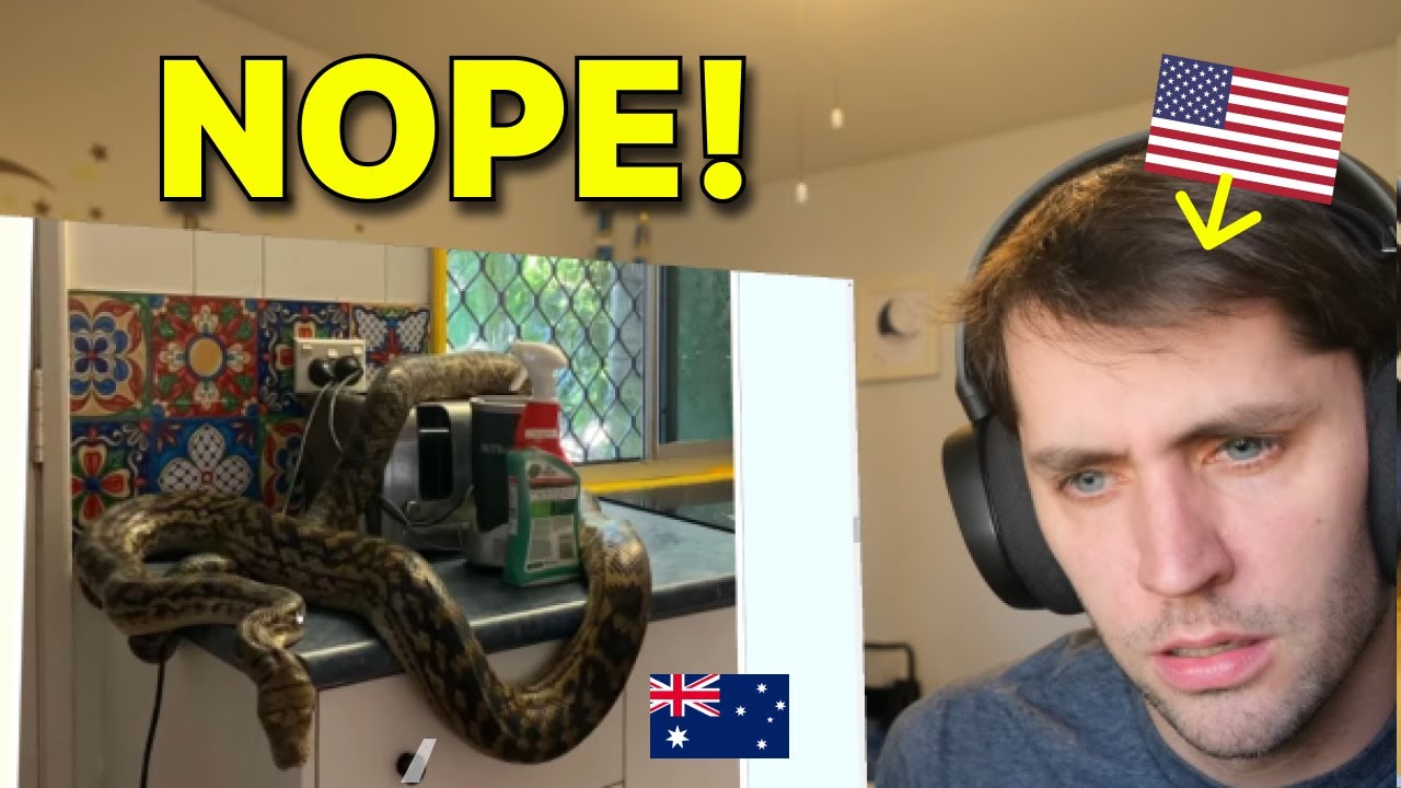 THIS WEEK IN AUSTRALIA [50] - YouTube