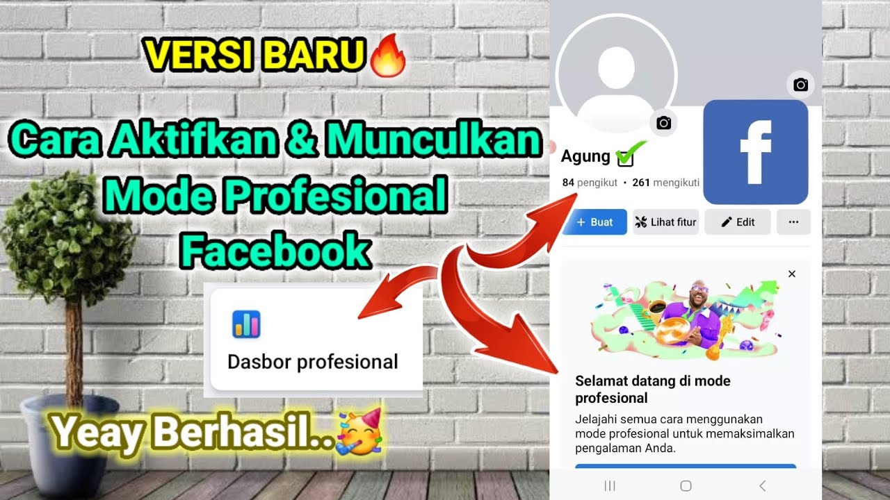TERBARU!! Cara Mengaktifkan Mode Profesional Di Facebook | Memunculkan Mode Profesional Facebook ...