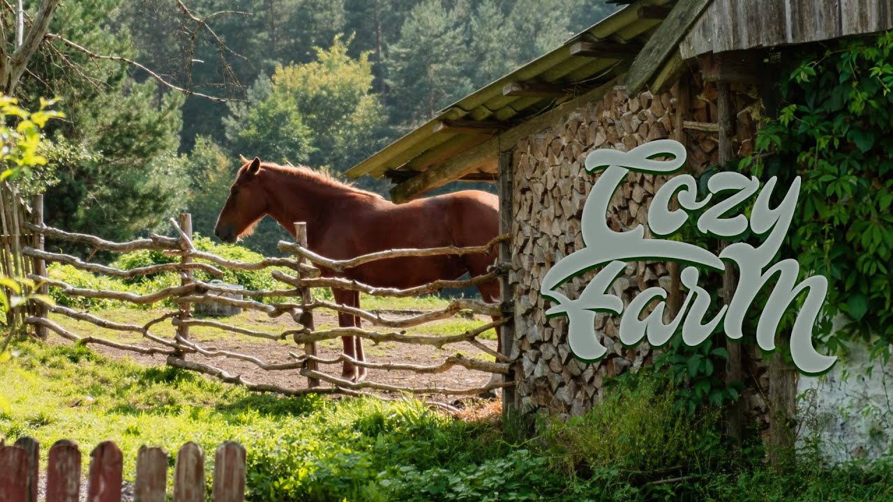 Козина ферма Cozy farm - YouTube