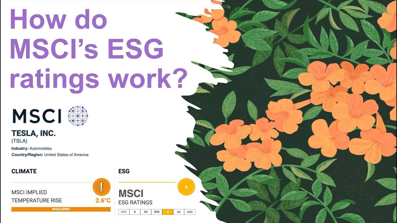 MSCI's ESG scores: why Tesla is rated Average, opportunities for ...