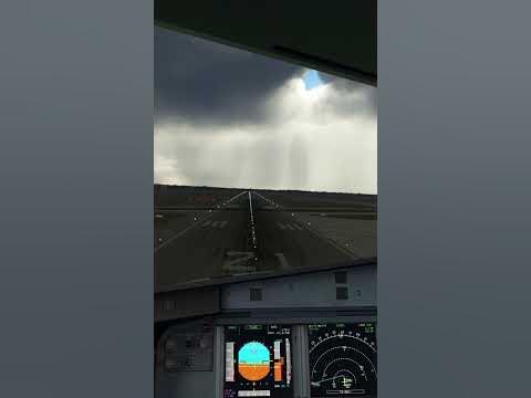 Fenix A320 Rough landing in Detroit//Crosswind//Windshear? # ...