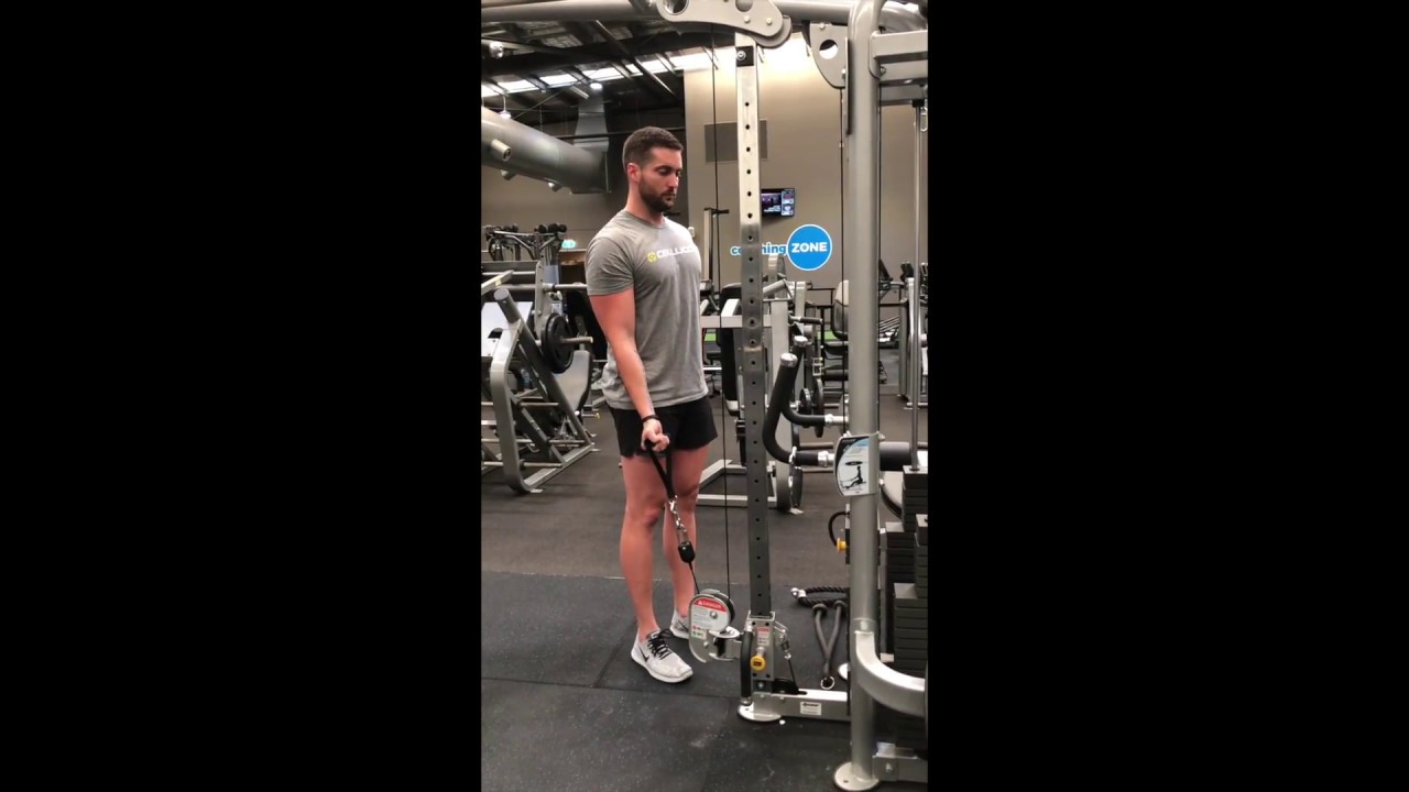 Cable Bi Curl Single Arm - YouTube