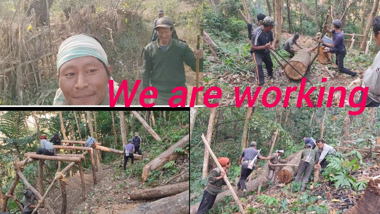 We are Working at the Jungle /@gfcvlogs - YouTube