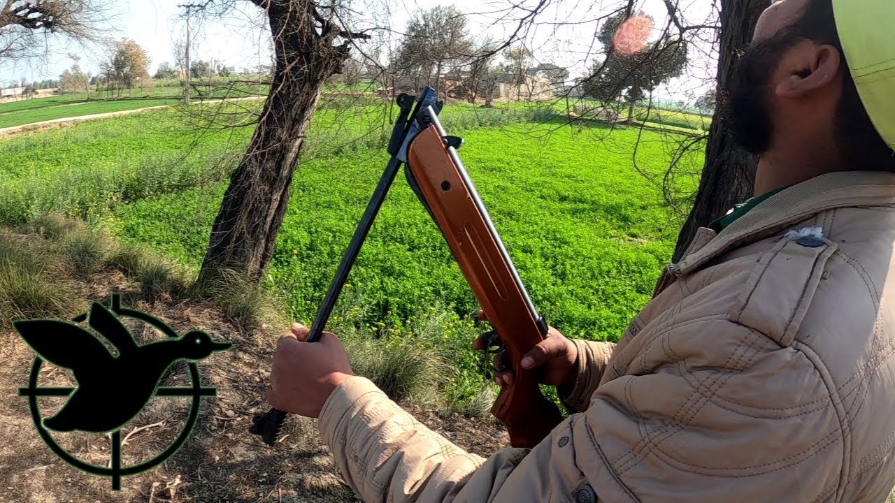 Indian Hunter - Hunting Birds In My Beautiful Village - YouTube