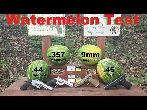🍉Watermelons🍉 VS Handguns! 💥 9mm+P+ VS .45 ACP+P VS .44 Special VS .357 Magnum