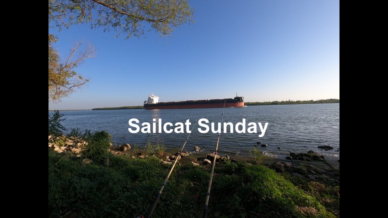 Sailcat Sunday - YouTube