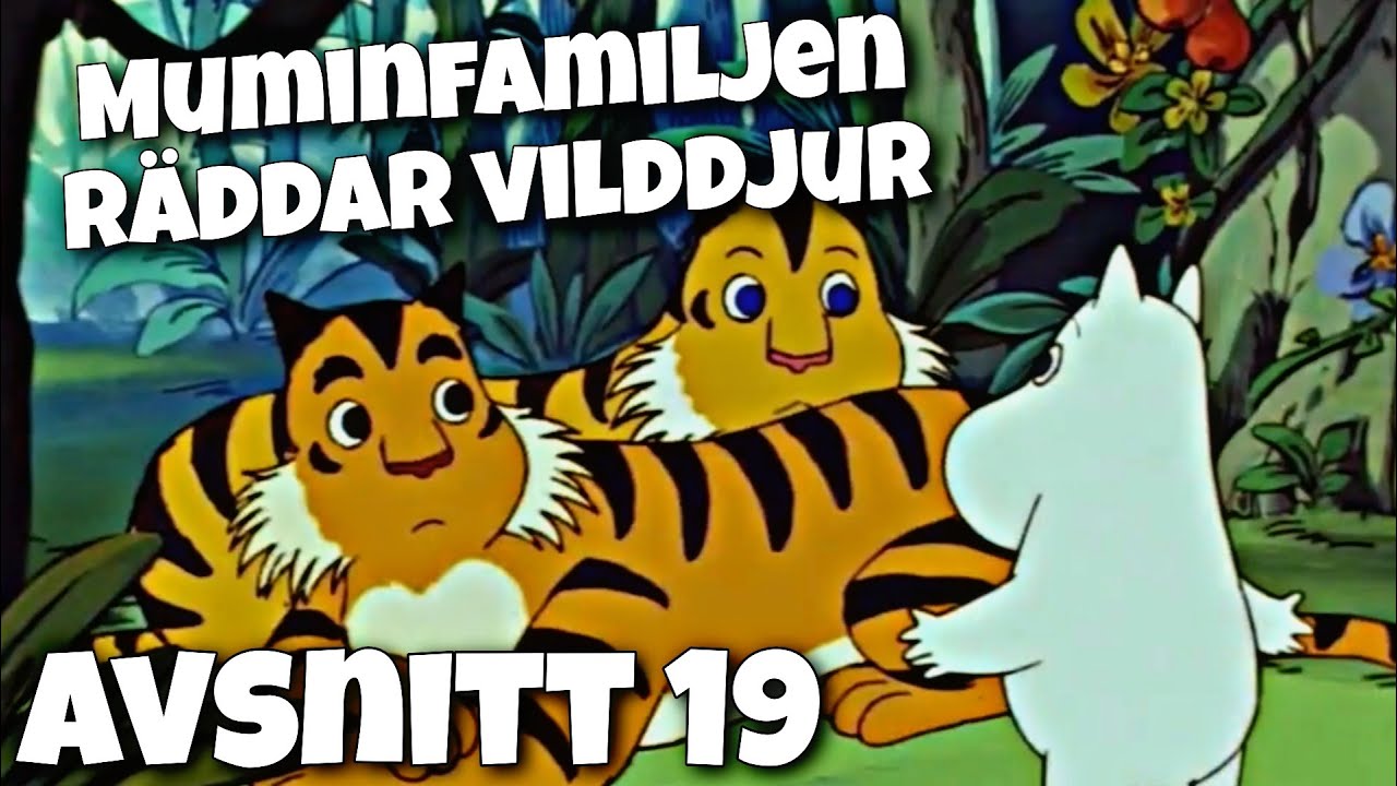 I Mumindalen avsnitt 19 - Muminfamiljen räddar vilddjur - YouTube
