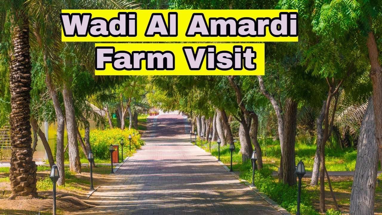 Wadi Al Amardi Farm Visit - YouTube