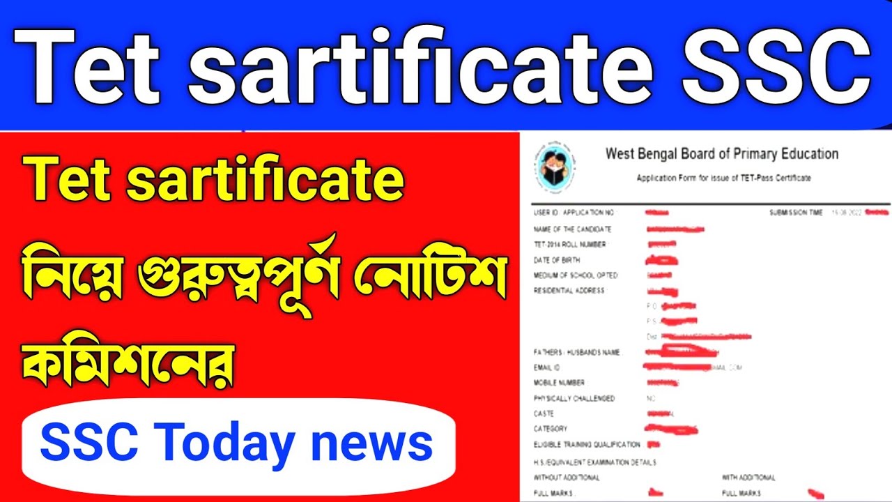 Tet sartificate নিয়ে গুরুত্বপূর্ণ নোটিশ কমিশন ||ssc tet certificate ...