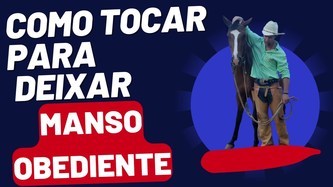 Como tocar no seu animal para deixar ele manso e obediente - YouTube