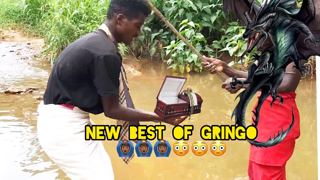 Gringo new Funny Comedy trending Compilation. Try not to laugh🤣2023 ...