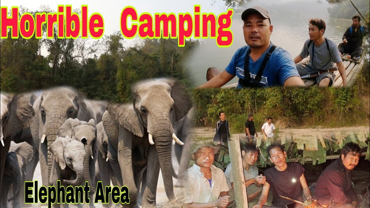 Horrible Night Camping/Groups Camping Rainy 🌧 In River Side - YouTube