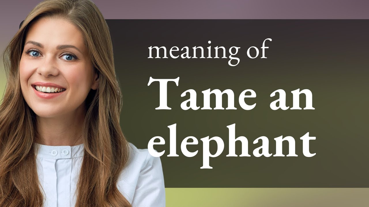 Taming the Giant: Understanding "Tame an Elephant" - YouTube