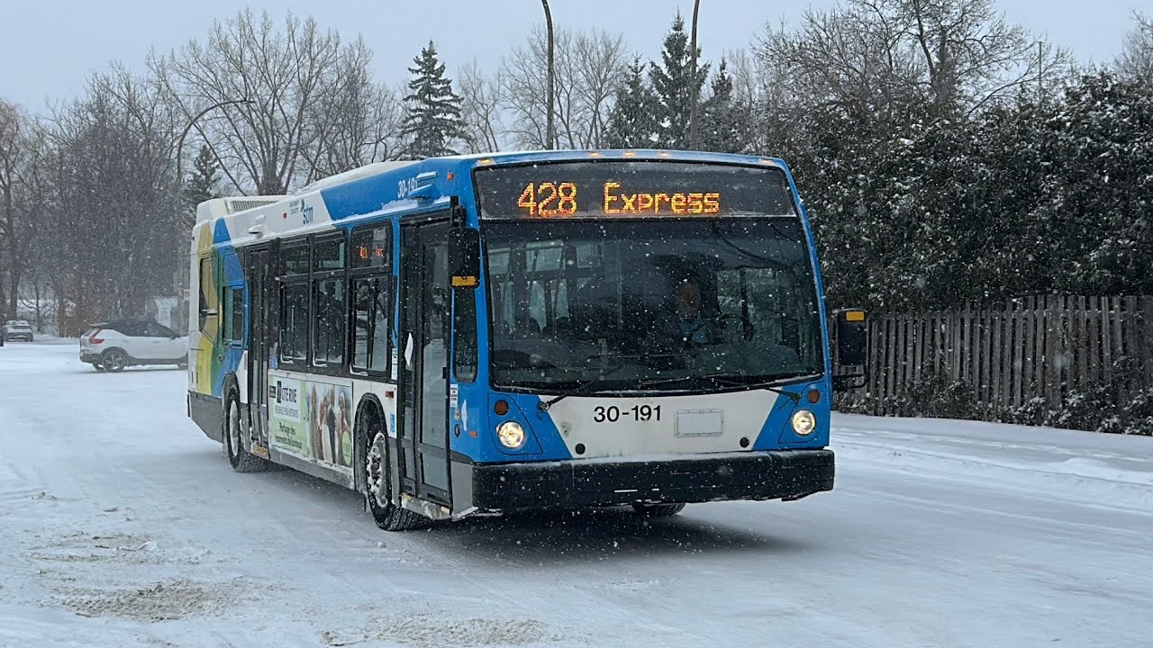 STM bus compilation (January 2026) - YouTube