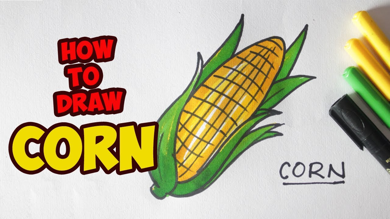 How to Draw a Corn Cob Easy | Easy drawing | How to Draw Corn | Sketch ...