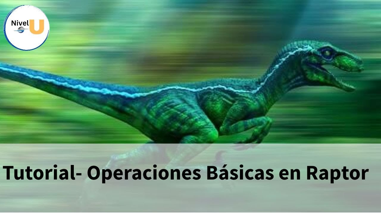 Tutorial 4 operaciones básicas #raptor #raptortutorial #raptorejercicios #raptorprogramacion ...
