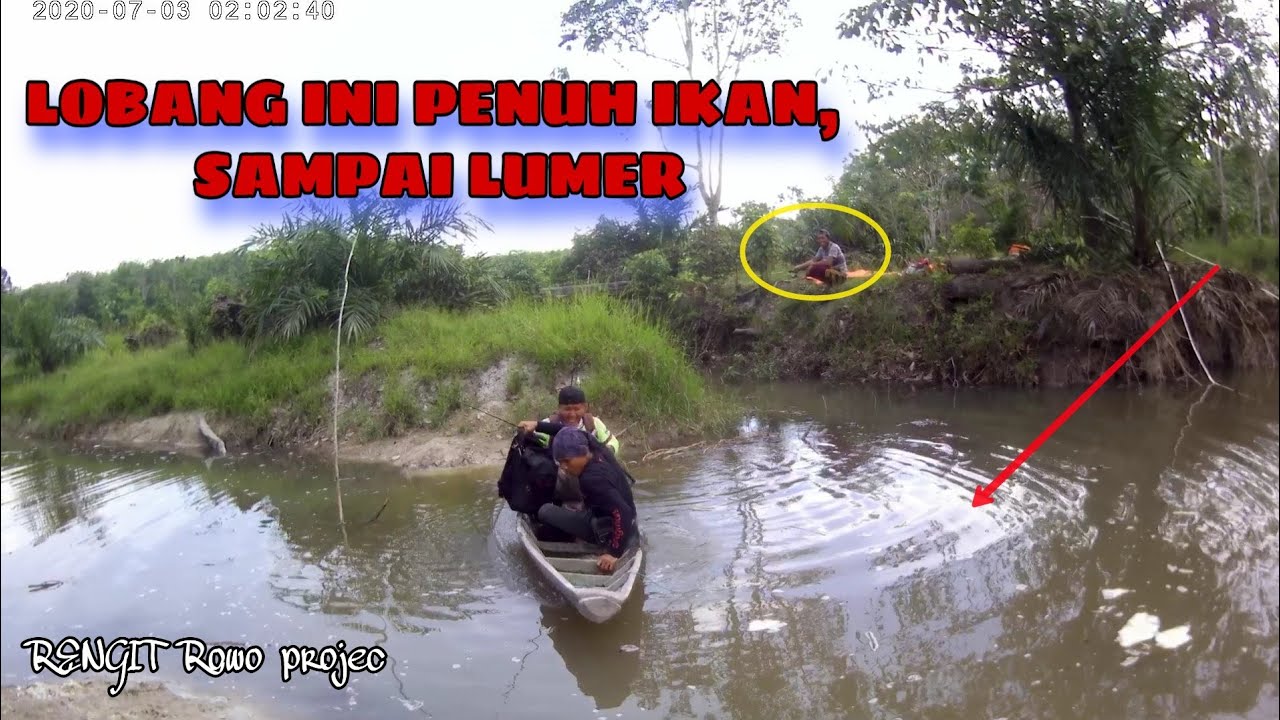 Strekk ikan rame rame #mancing satu lubang rame2... - YouTube